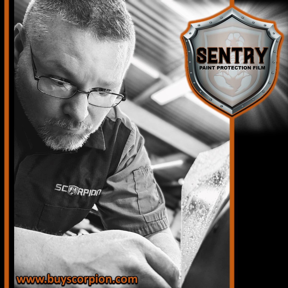 SENTRY Paint Protection Film